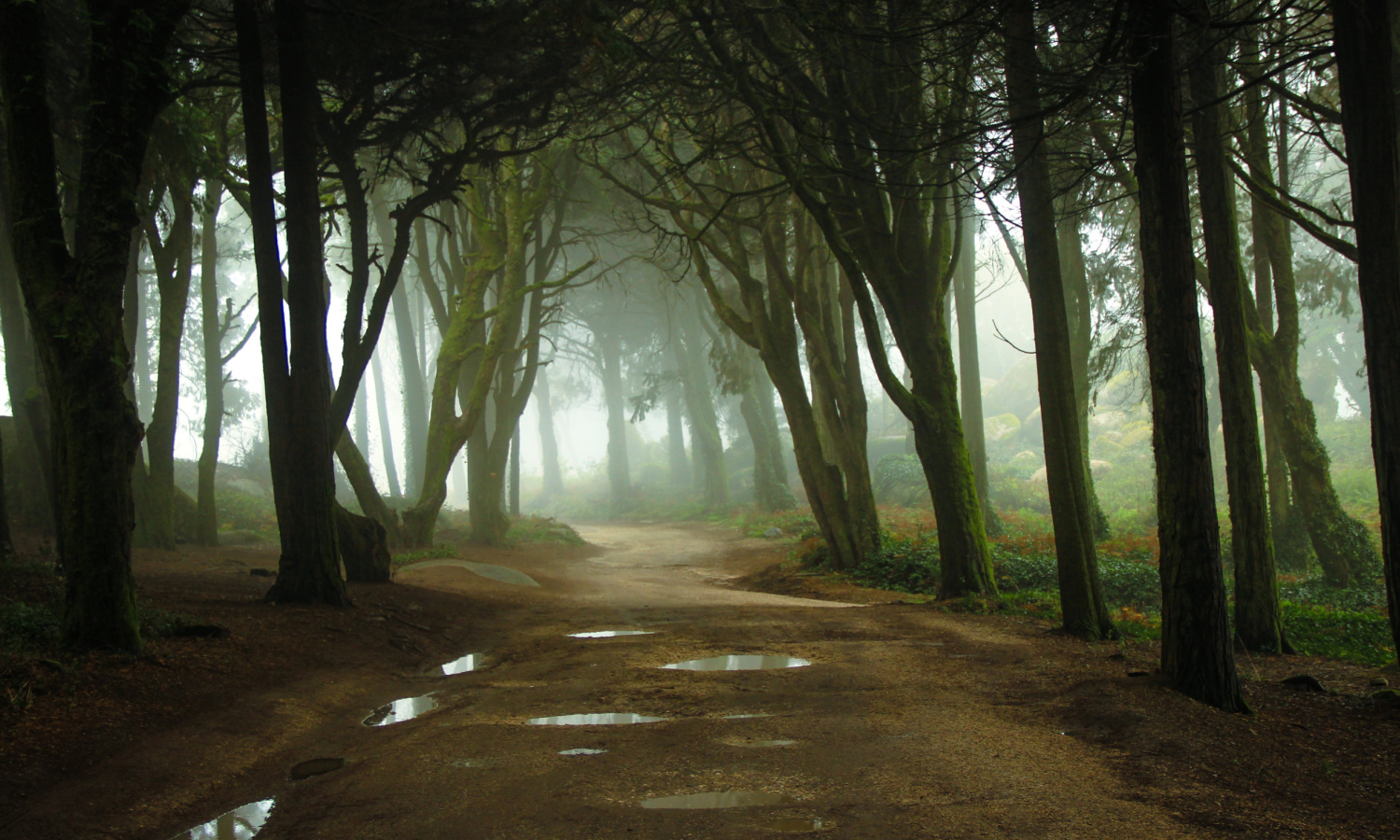 11 Free Resources on Biblical Lament